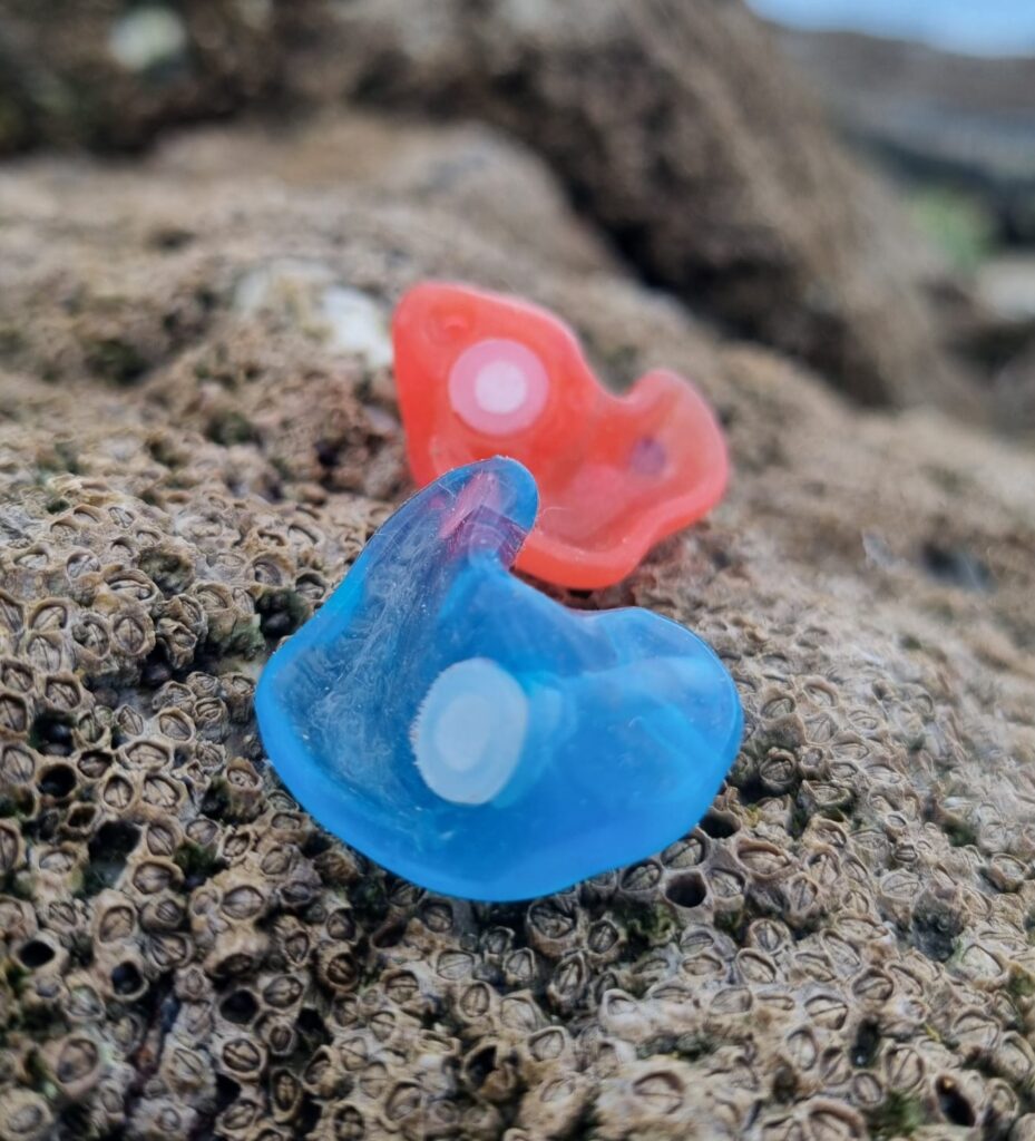 shop - Wave Ear Plugs